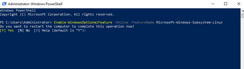 Installing Kali Linux in Windows through Microsoft Store