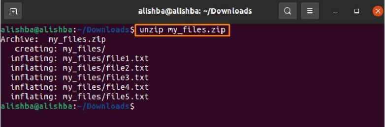 How To Unzip A Zip File On Ubuntu 