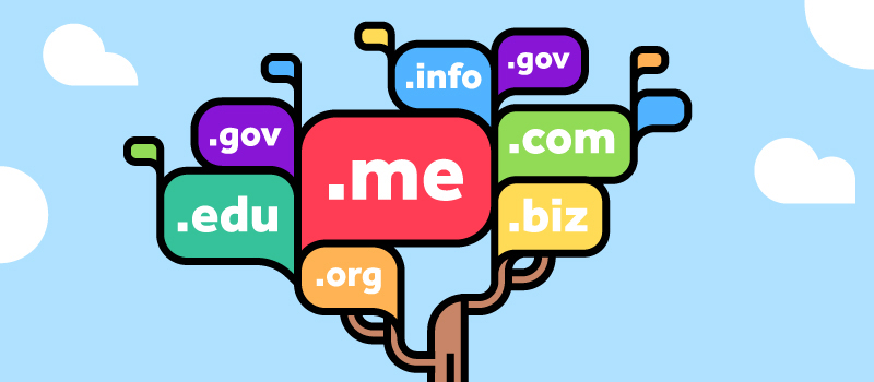 What are the Different Types of Domains?