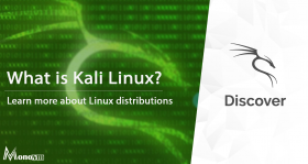What is Kali Linux?