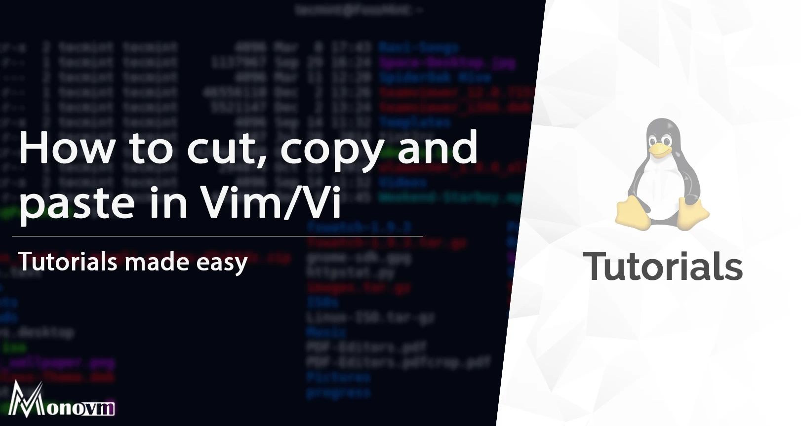 How To Copy Cut And Paste In Vim Vi Editor VIM Copy Paste 