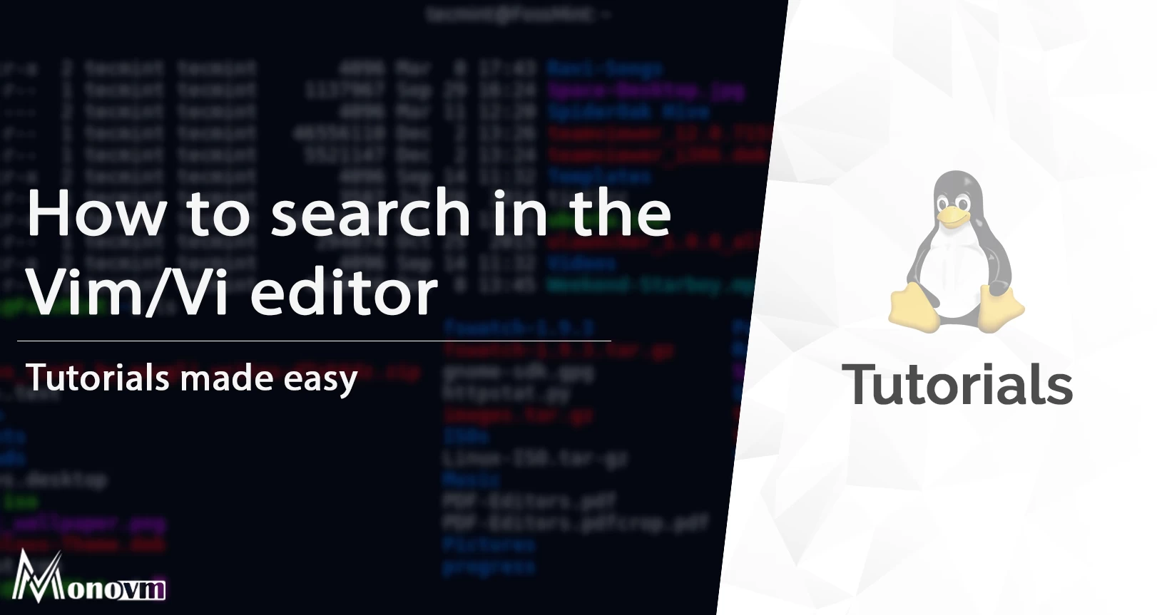 How To Search In VIM VI Editor VI VIM Search 