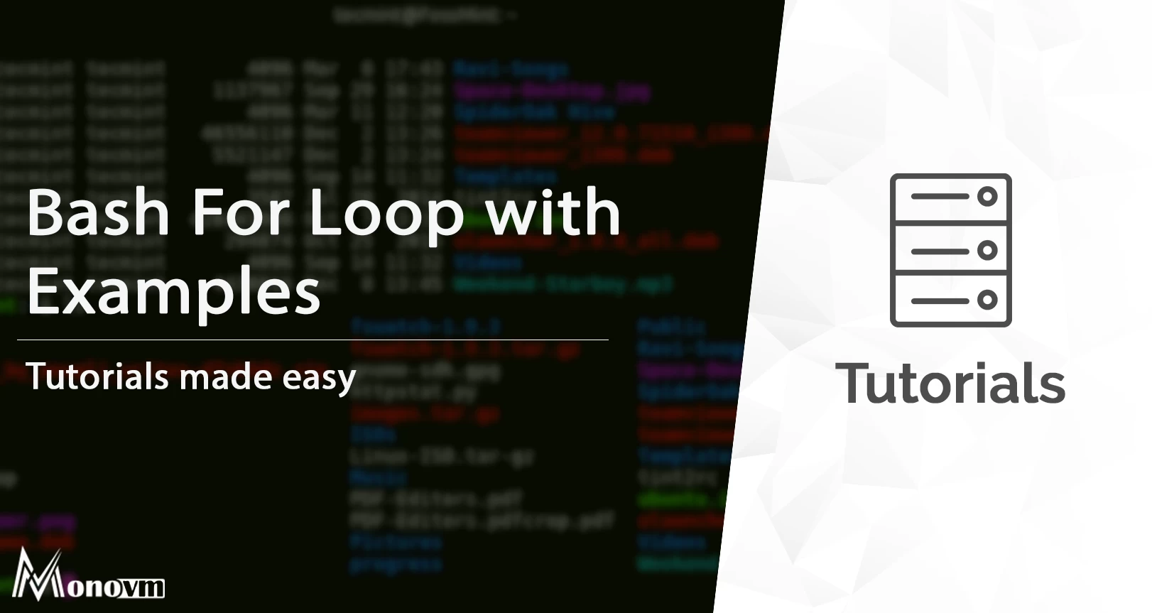 Bash For Loop With Examples